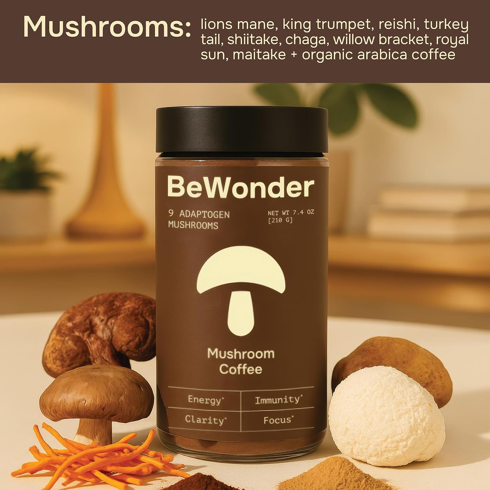 chaga mushroom energy support