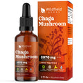 Chaga mushroom extract drops benefits