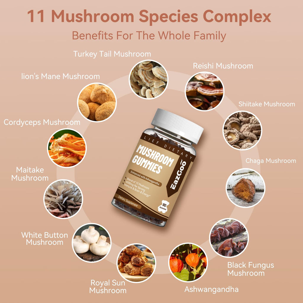 chaga mushroom extract for antioxidants