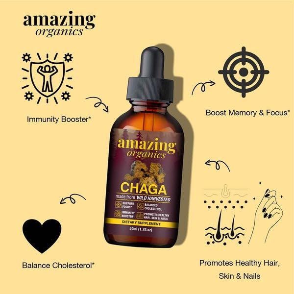 Chaga mushroom extract for Ayurveda enthusiasts
