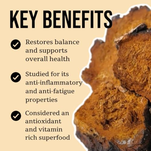 Chaga mushroom extract for balance