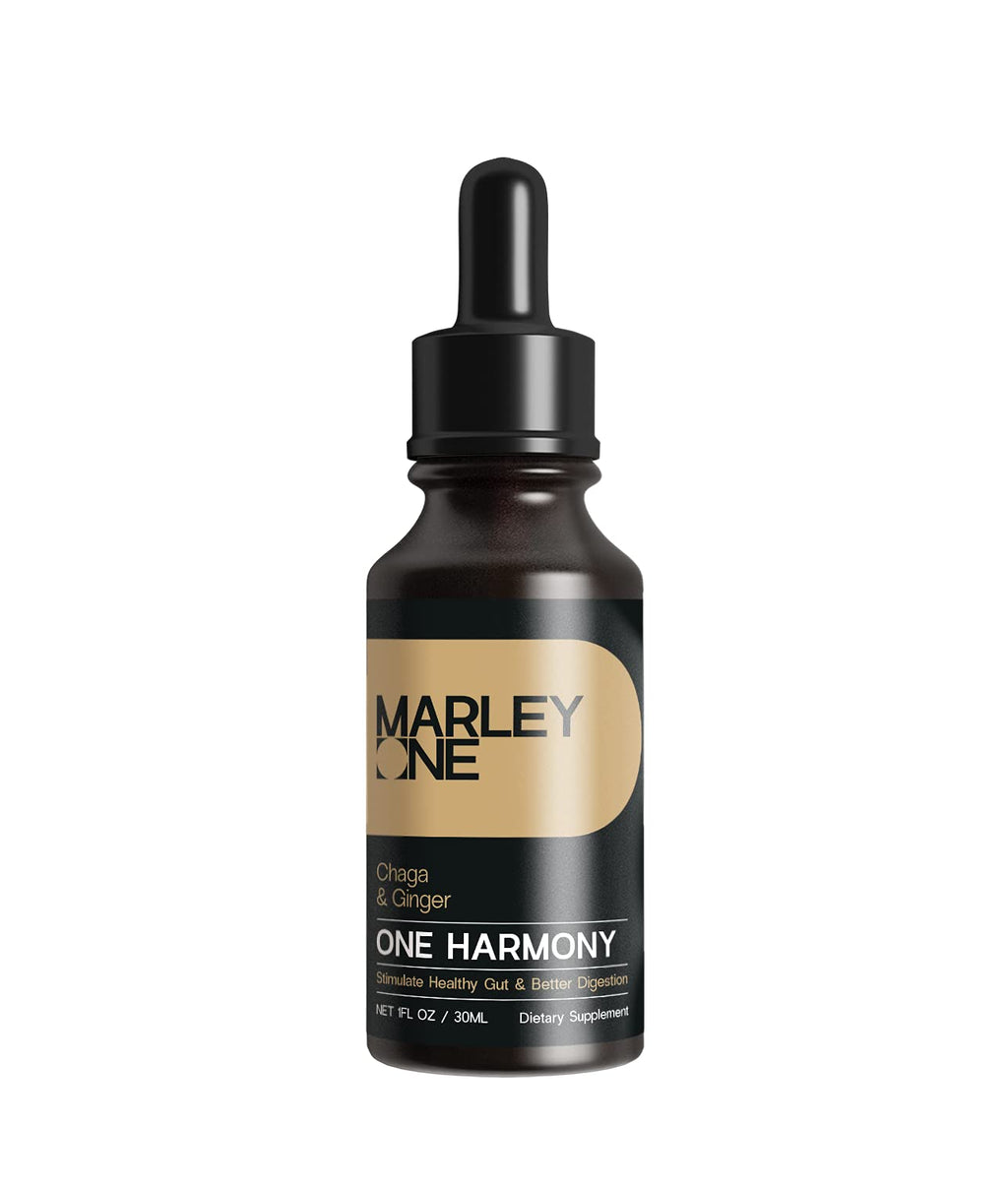 Chaga mushroom extract for digestion
