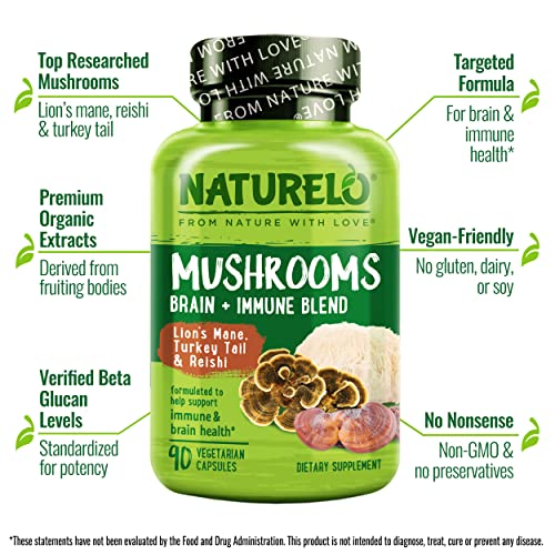 chaga mushroom extract for energy boost