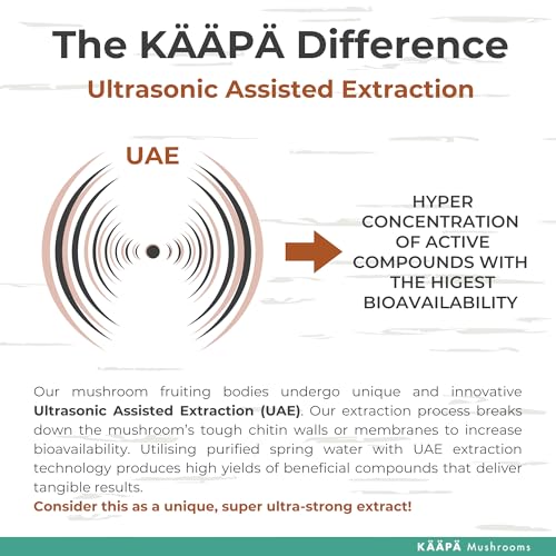 Chaga mushroom extract for energy boost