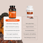 chaga mushroom extract for energy