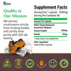 Chaga mushroom extract for energy