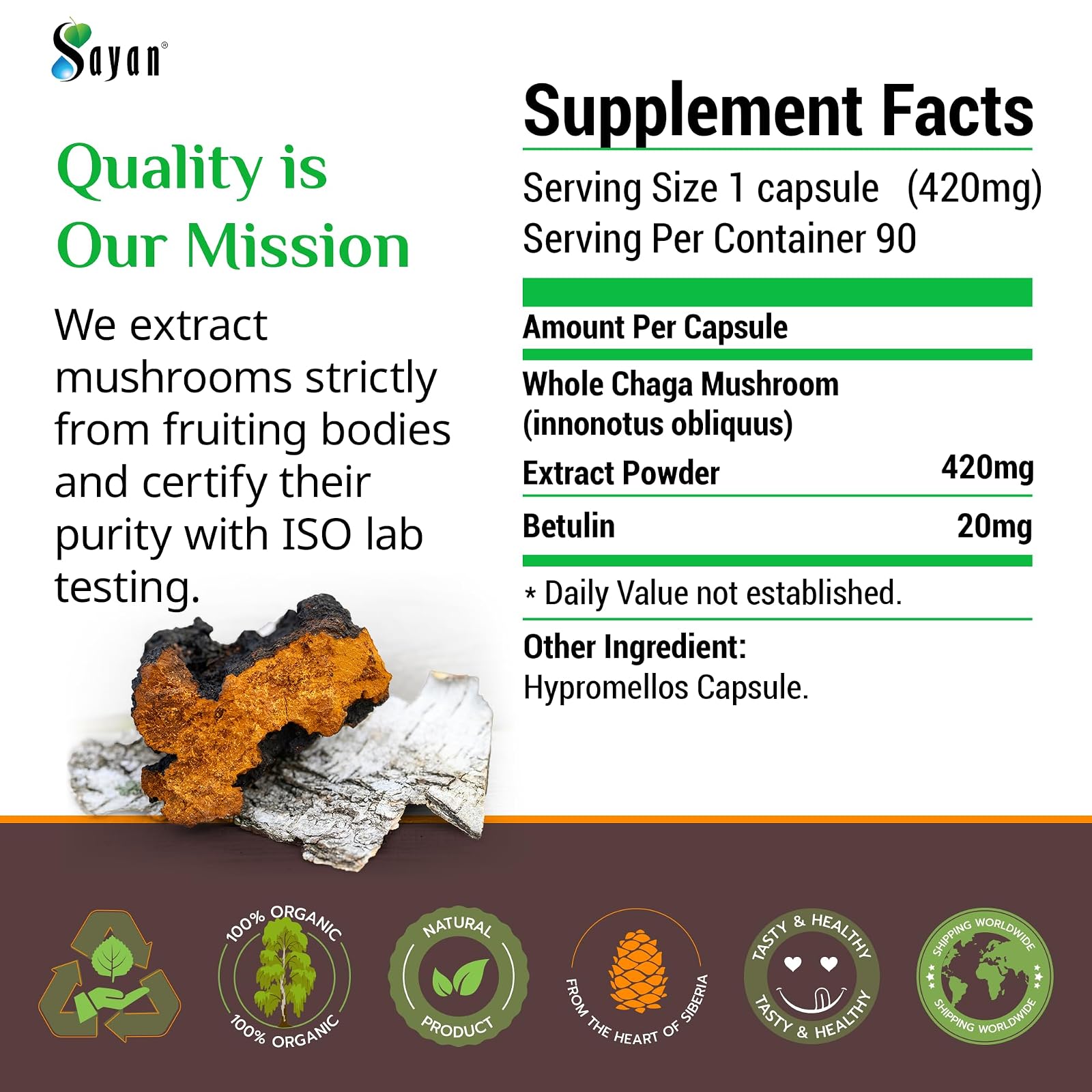 Chaga mushroom extract for energy