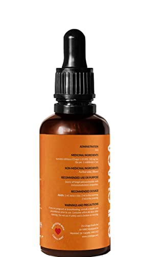 Chaga mushroom extract for holistic health