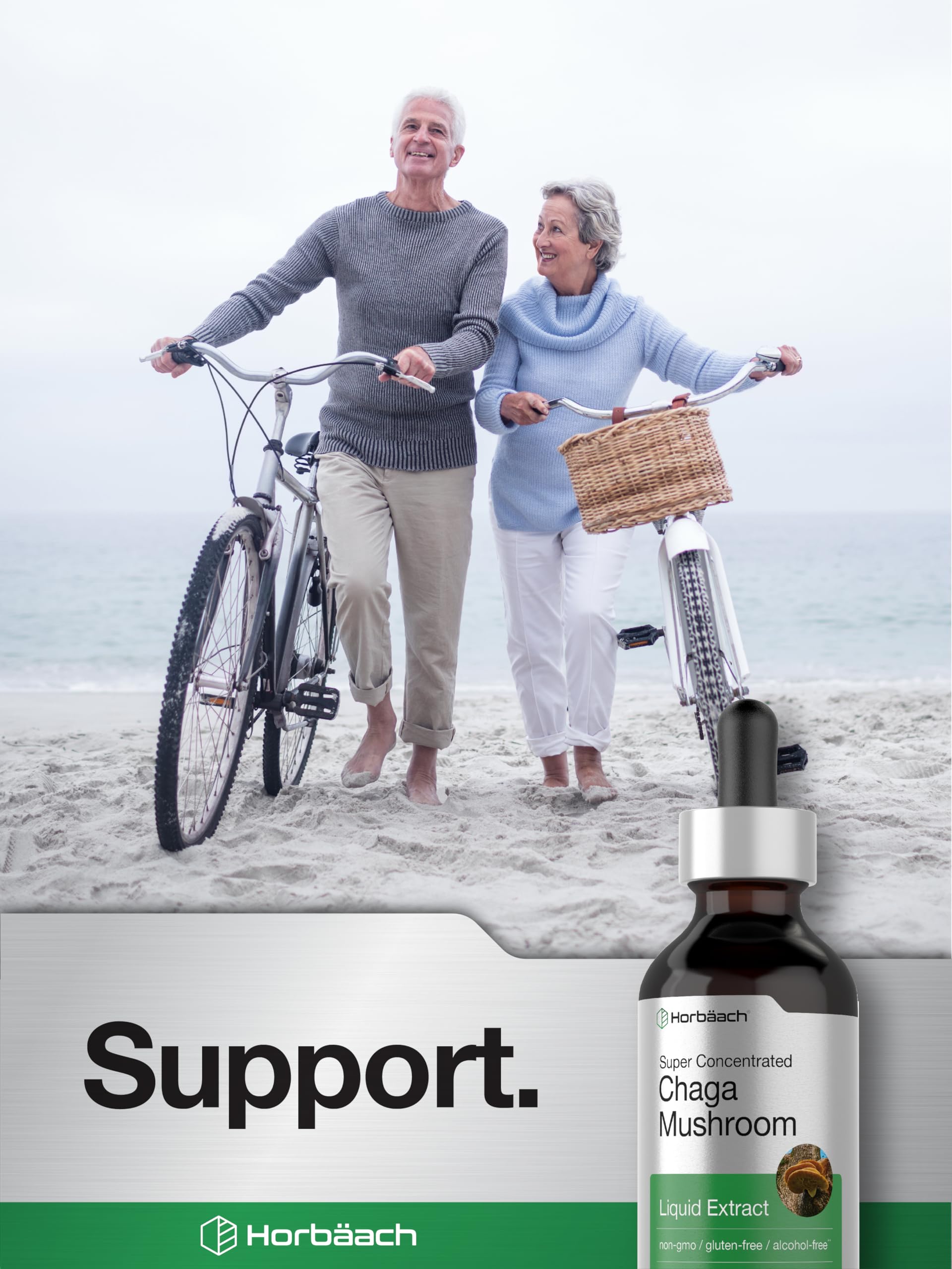 Chaga mushroom extract for holistic health