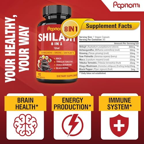 Chaga mushroom extract for immune support