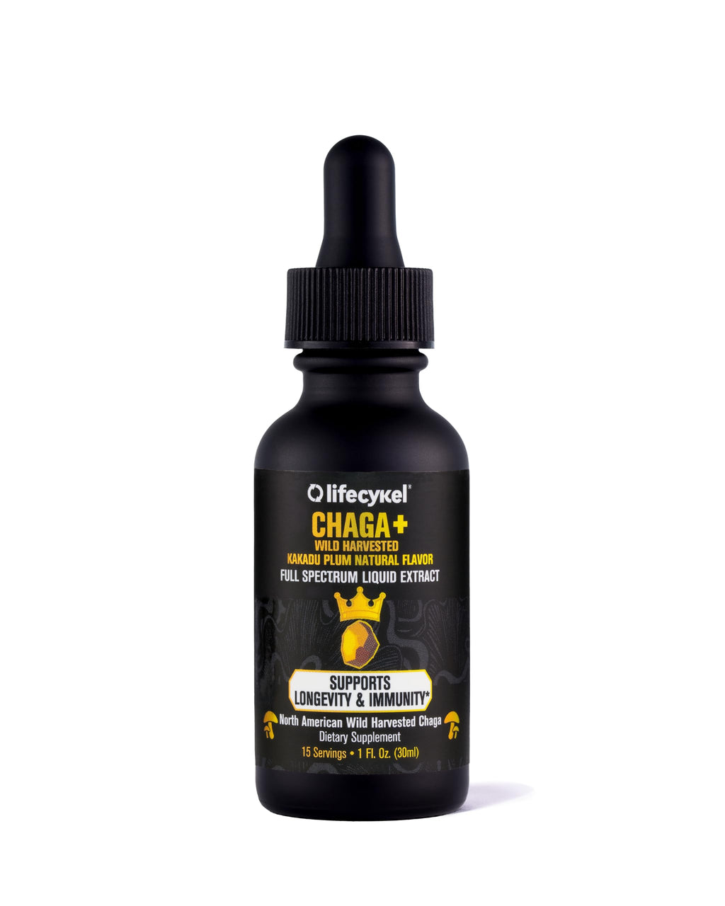 Chaga mushroom extract for immunity