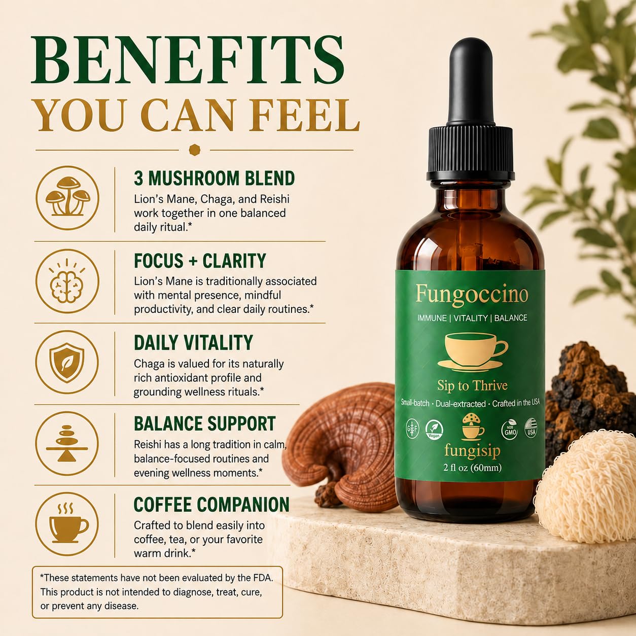 Chaga mushroom extract for immunity