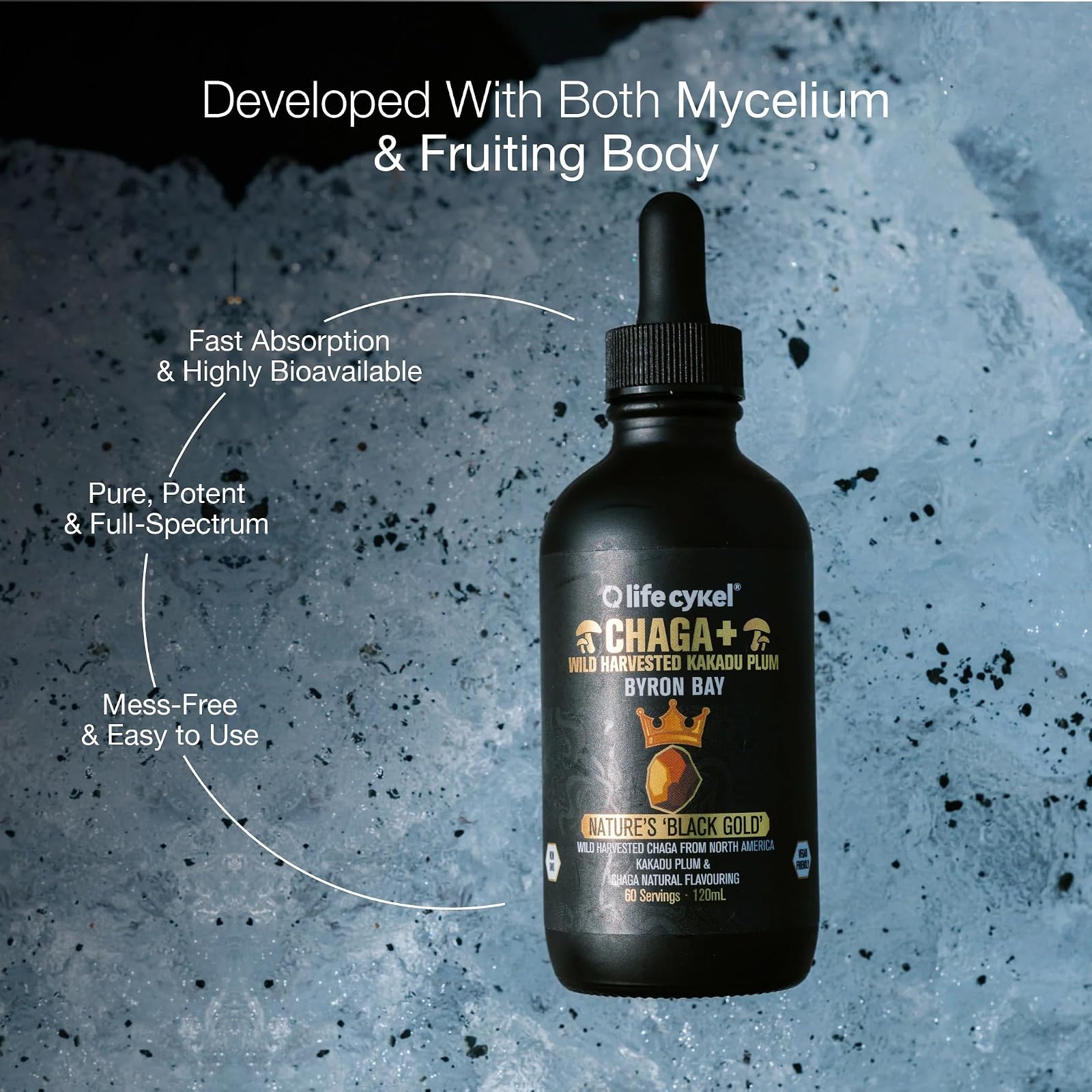 Chaga mushroom extract for immunity