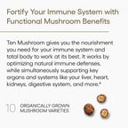 chaga mushroom extract for vitality
