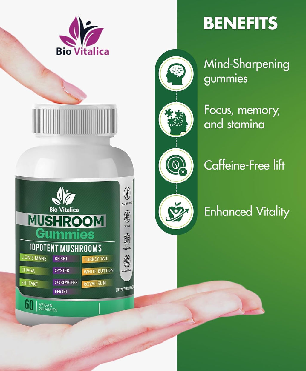 Chaga mushroom extract for vitality