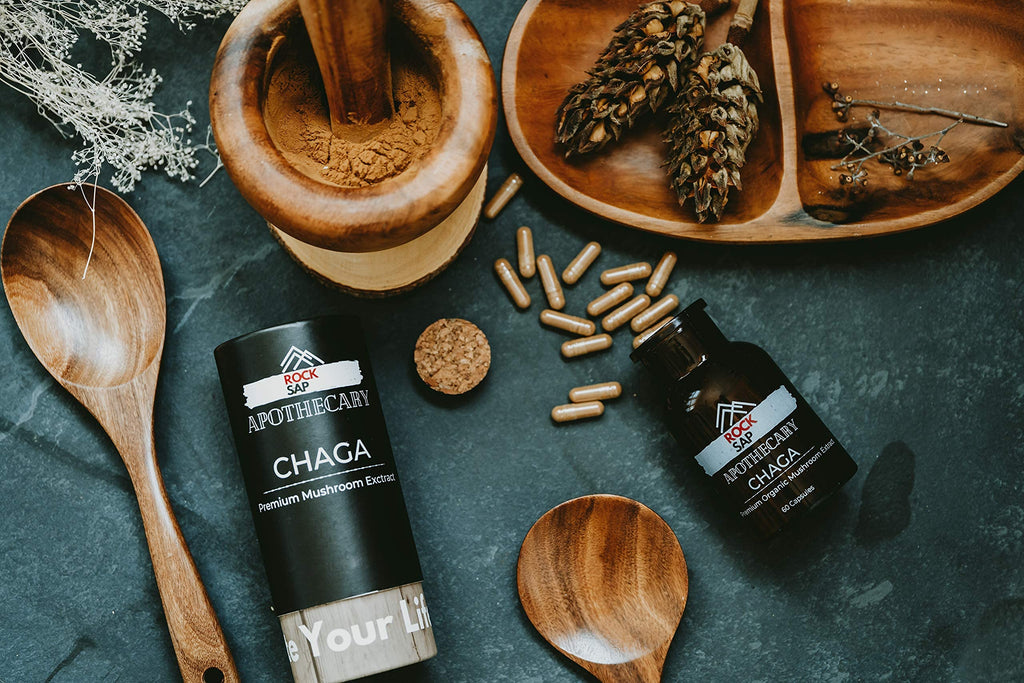 chaga mushroom extract for wellness