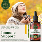 Chaga mushroom extract for wellness