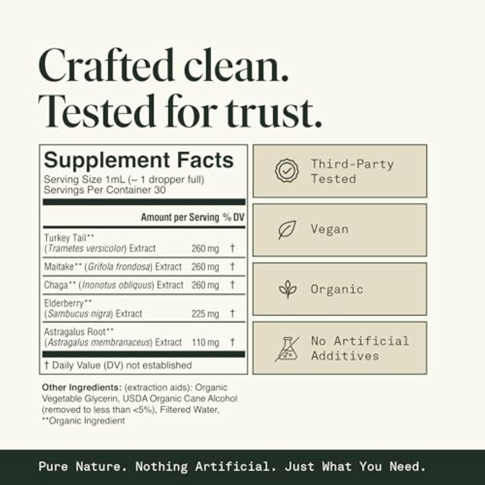 chaga mushroom extract for wellness