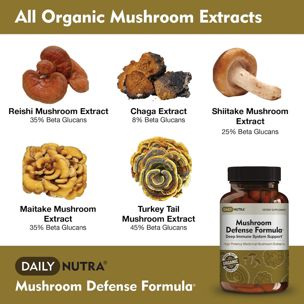 Chaga mushroom extract for wellness