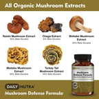 Chaga mushroom extract for wellness