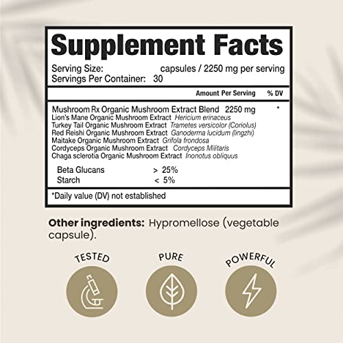 Chaga mushroom extract for wellness