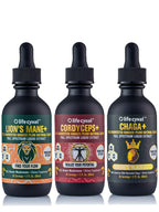 Chaga mushroom extract for wellness
