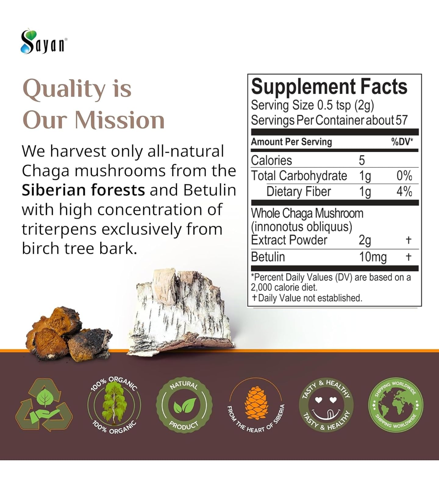 Chaga mushroom extract with betulin powder