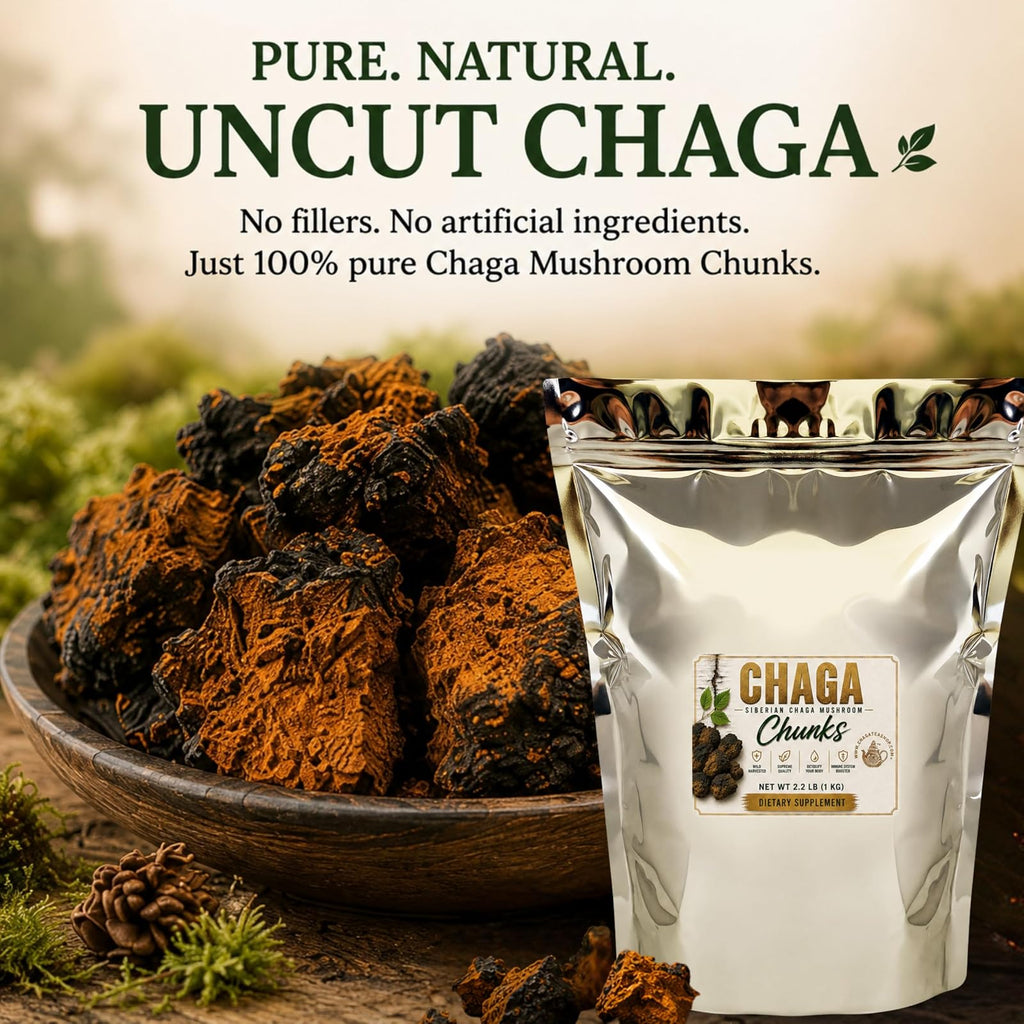 chaga mushroom for adaptogen benefits