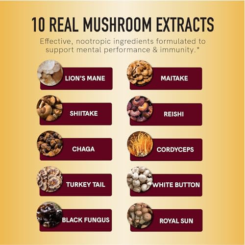 Chaga mushroom for antioxidant power