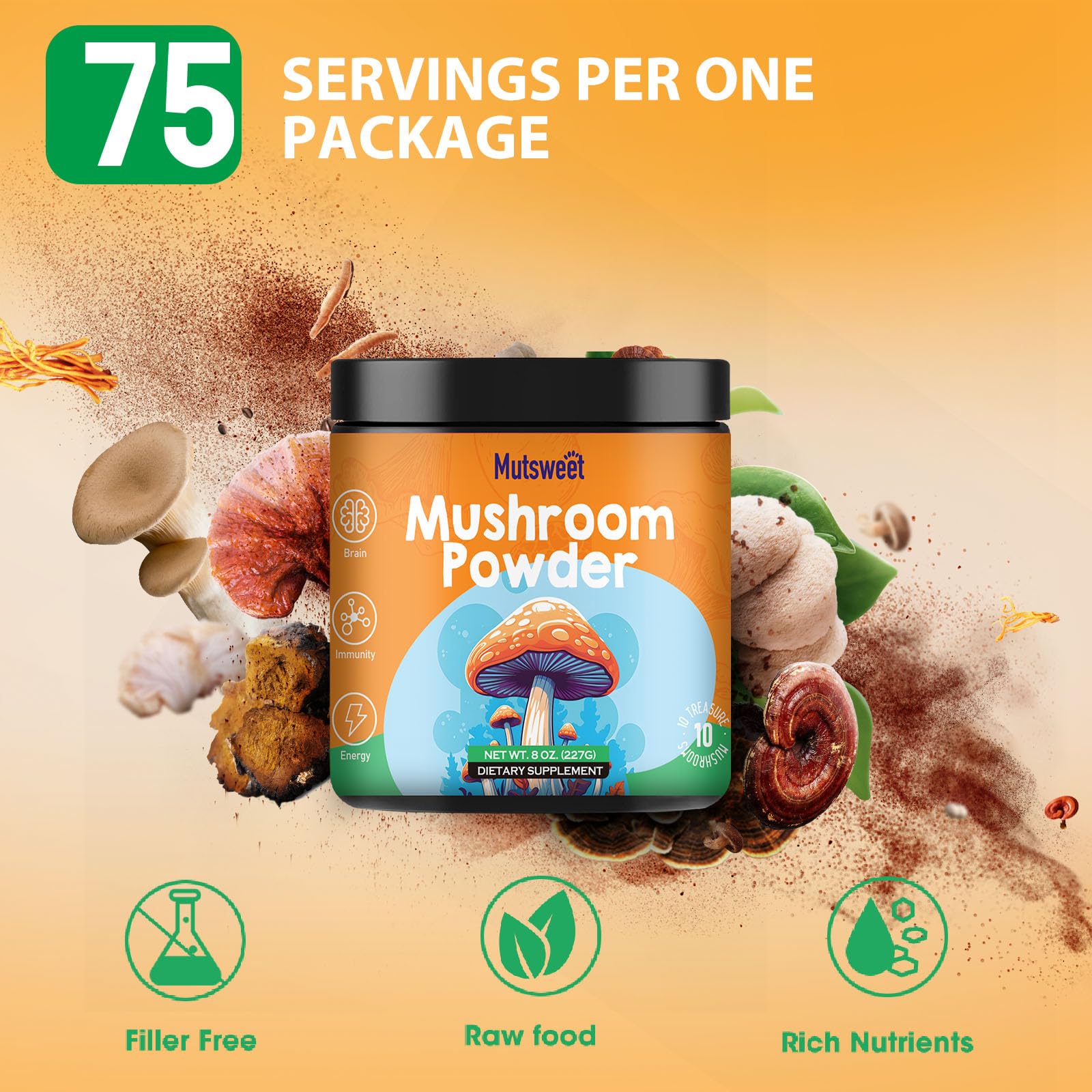 chaga mushroom for antioxidant support