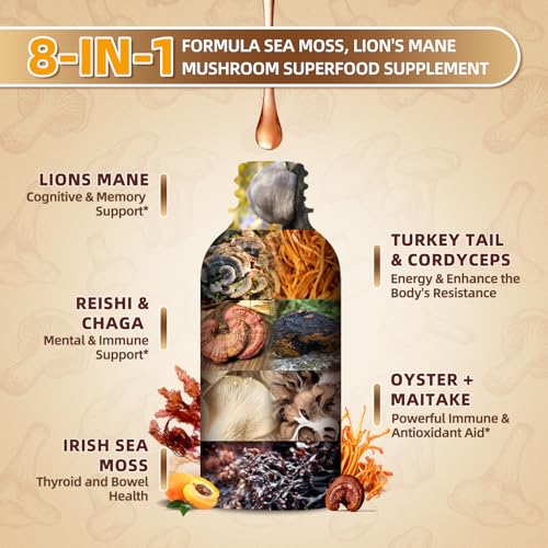Chaga mushroom for brain support
