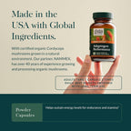 chaga mushroom for energy boost
