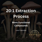 chaga mushroom for energy boost