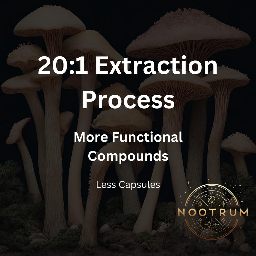 chaga mushroom for energy boost