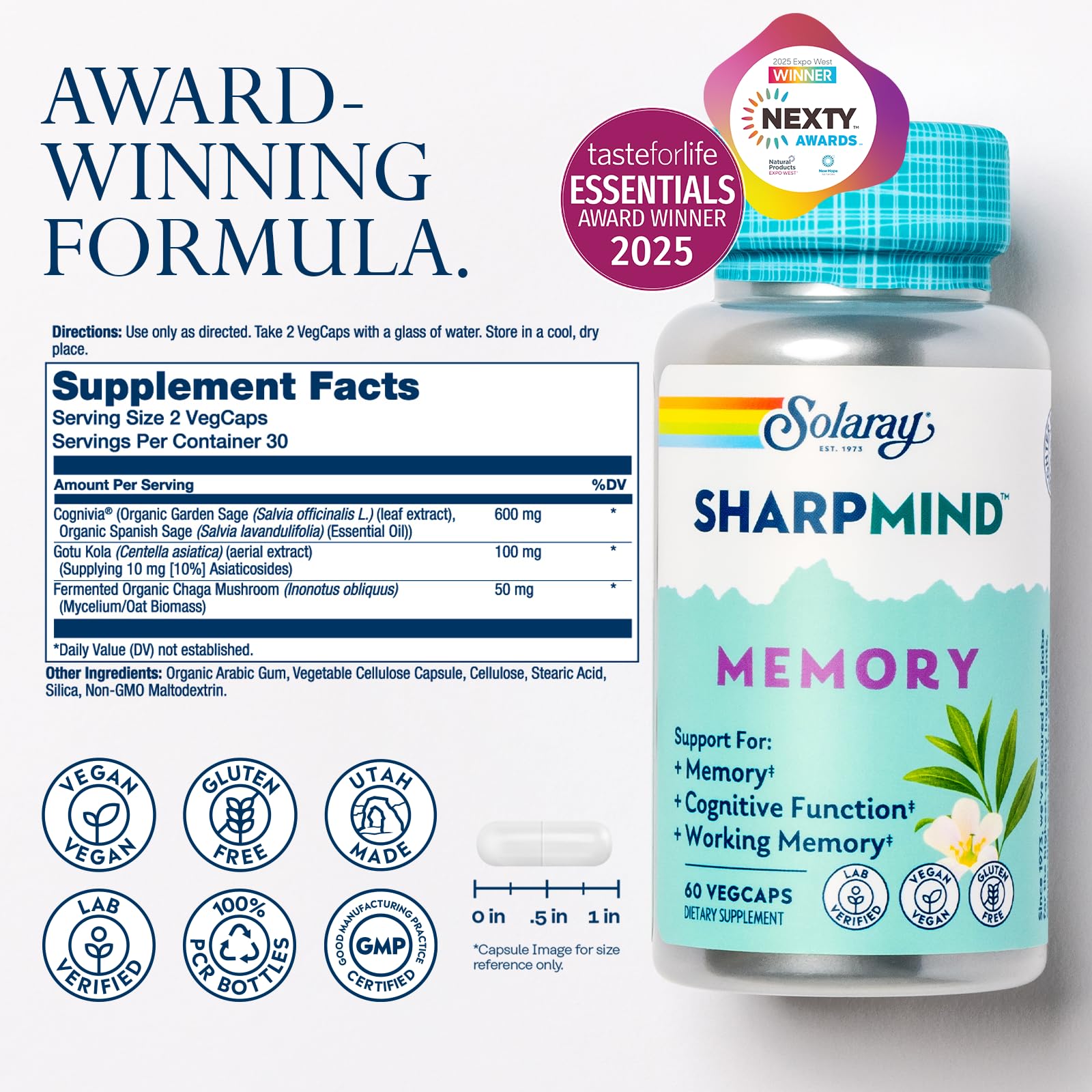 Chaga mushroom for enhanced cognitive function