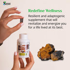 chaga mushroom for enhanced energy