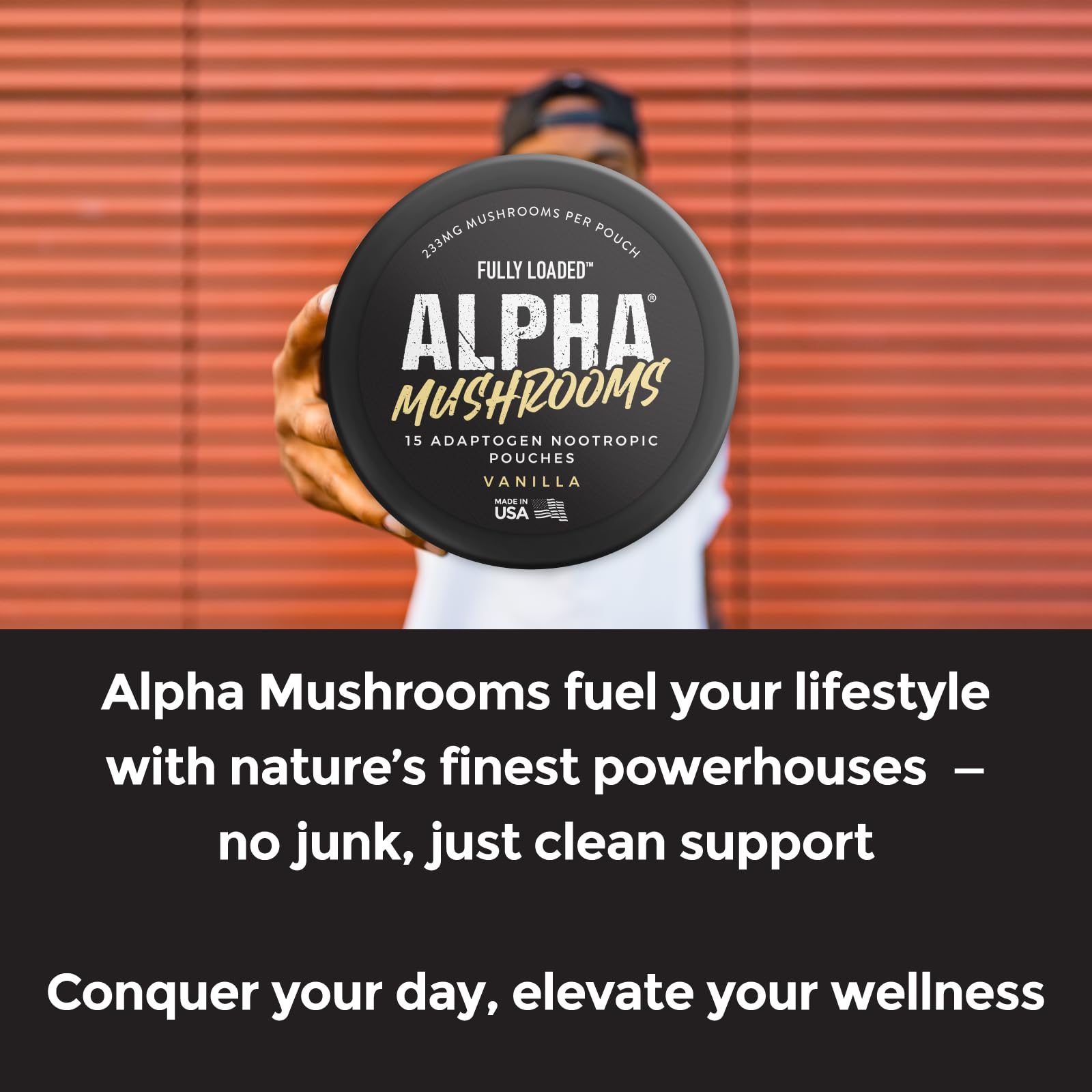 chaga mushroom for immune health