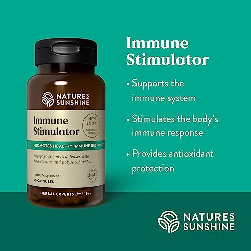 chaga mushroom for immune strength