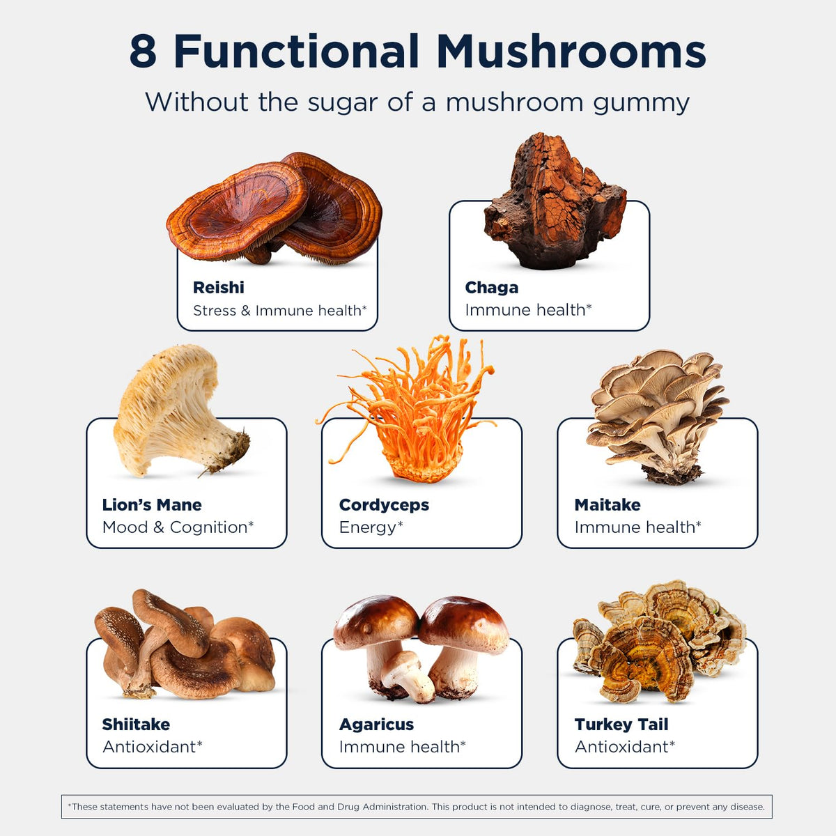 chaga mushroom for immune support