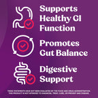 chaga mushroom for immune support
