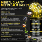 chaga mushroom for immune support