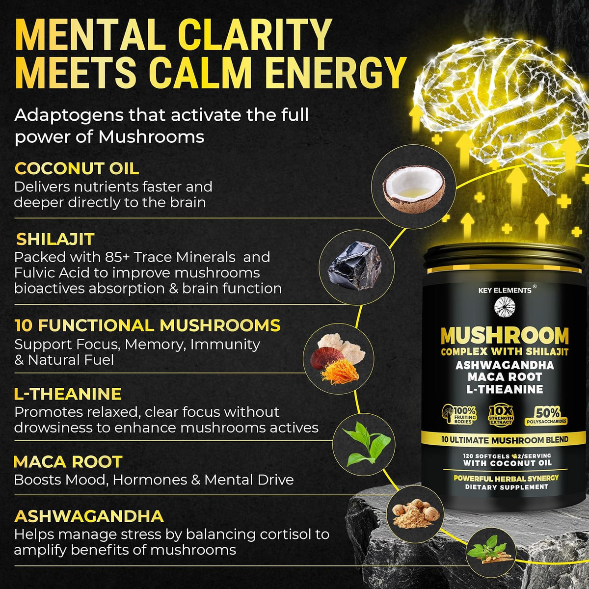 chaga mushroom for immune support