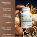 chaga mushroom for immune support