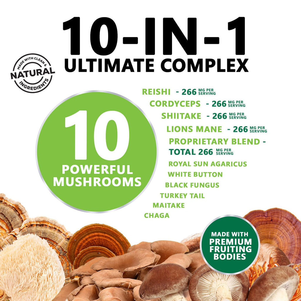 Chaga mushroom for immune support