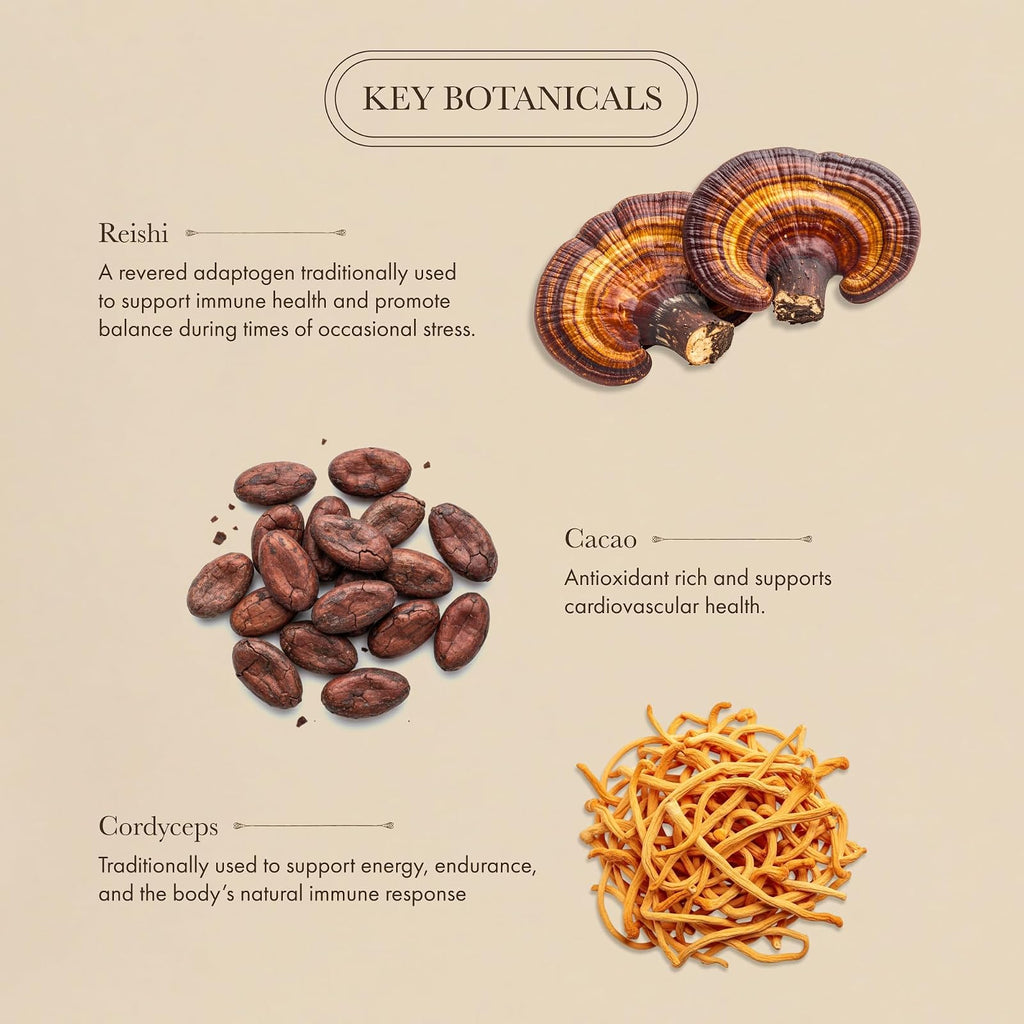 chaga mushroom for immune support