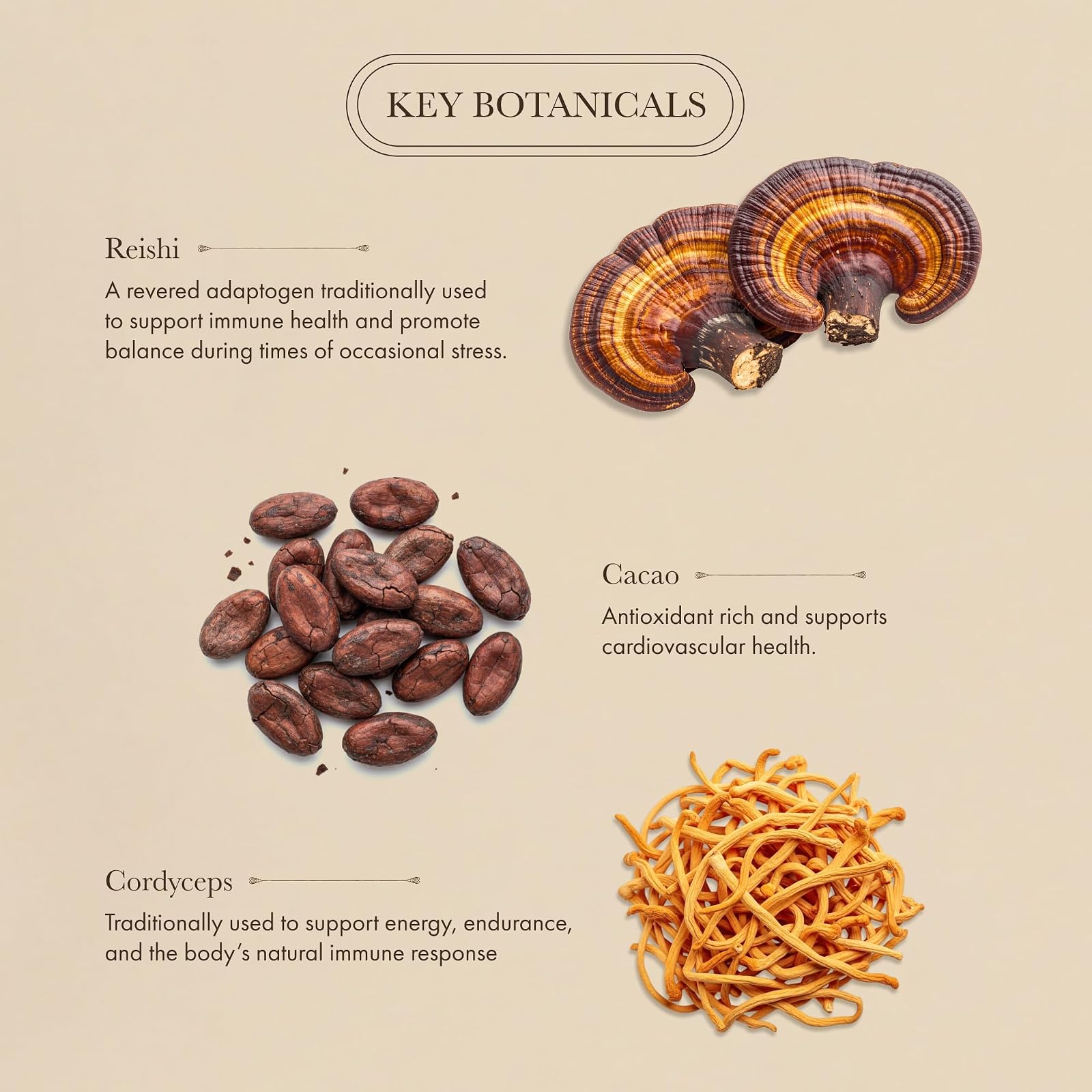 chaga mushroom for immune support