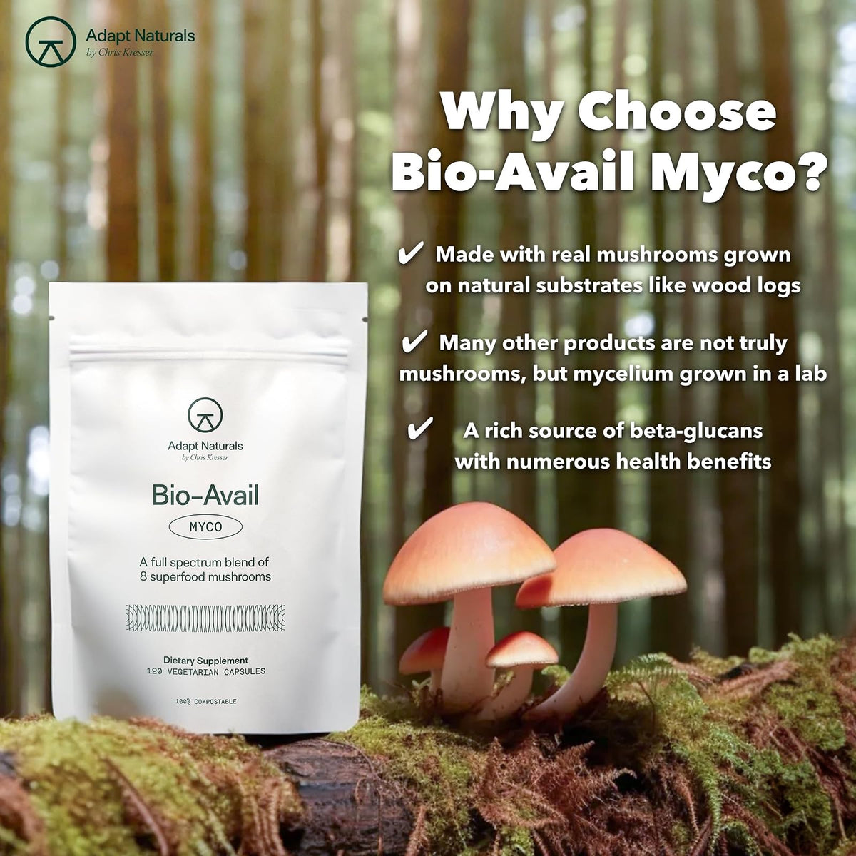 chaga mushroom for immune support
