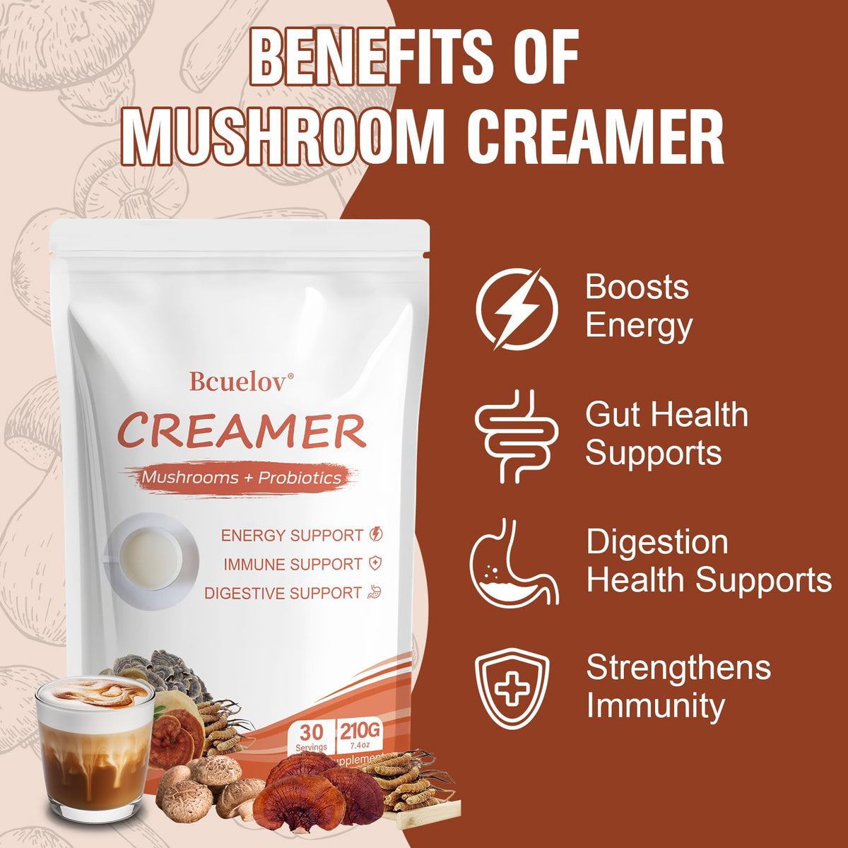 chaga mushroom for immune support