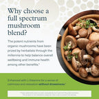 chaga mushroom for immune support