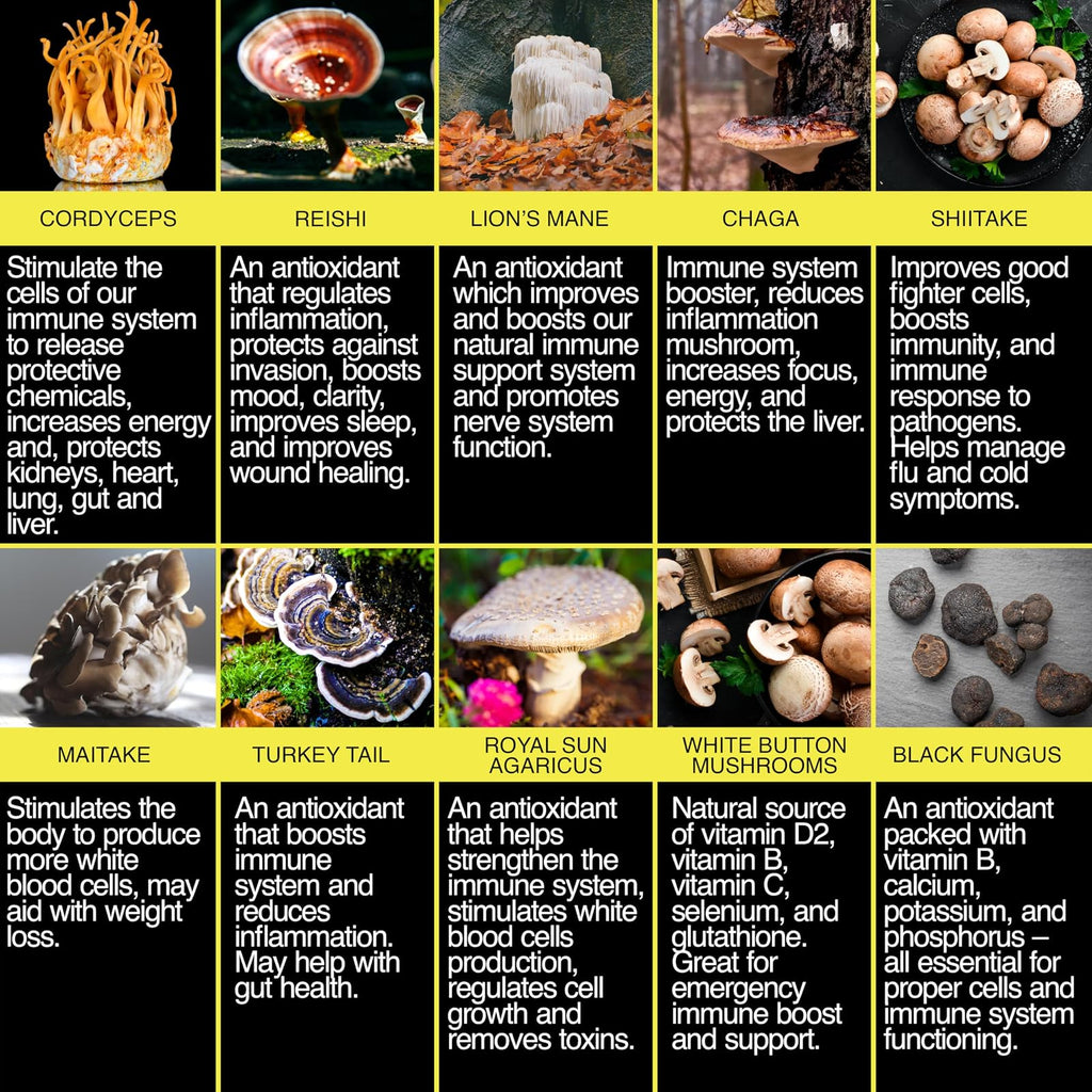 chaga mushroom for immune support